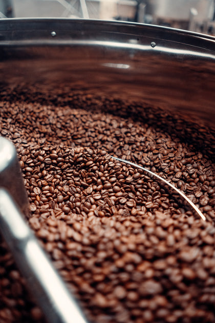 Coffee – Royal Roastery NOLA